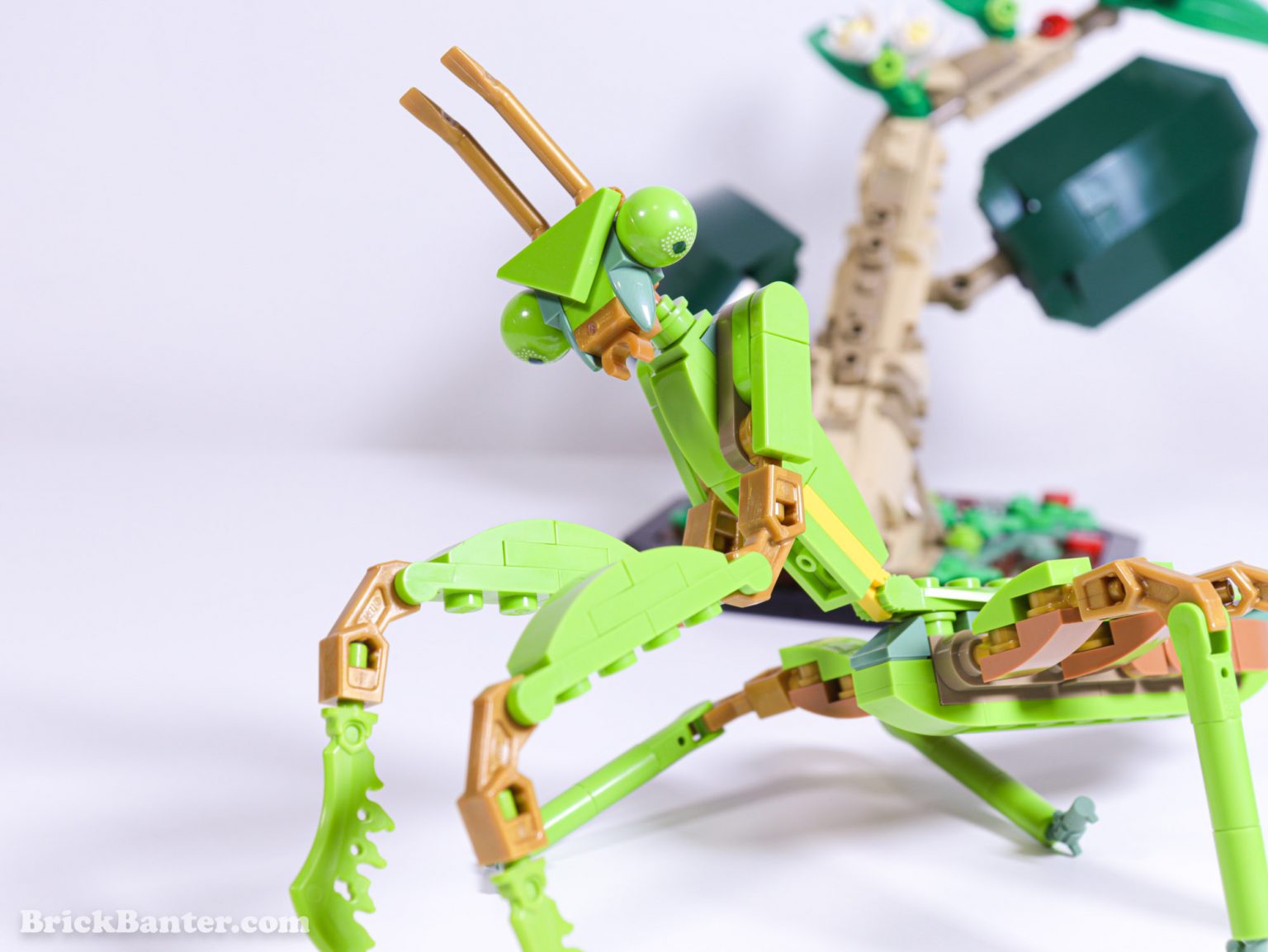Review: LEGO Ideas - The Insect Collection - 21342