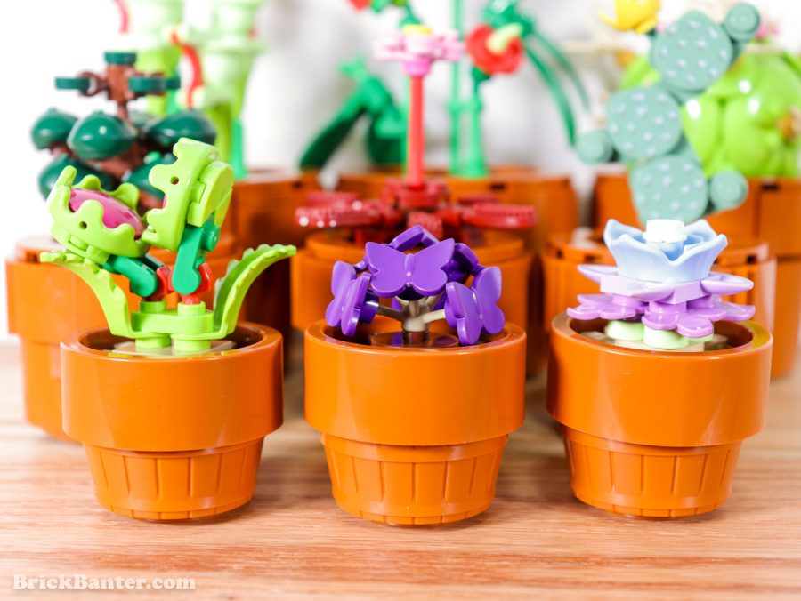 Review: LEGO Botanical Collection Tiny Plants 10329