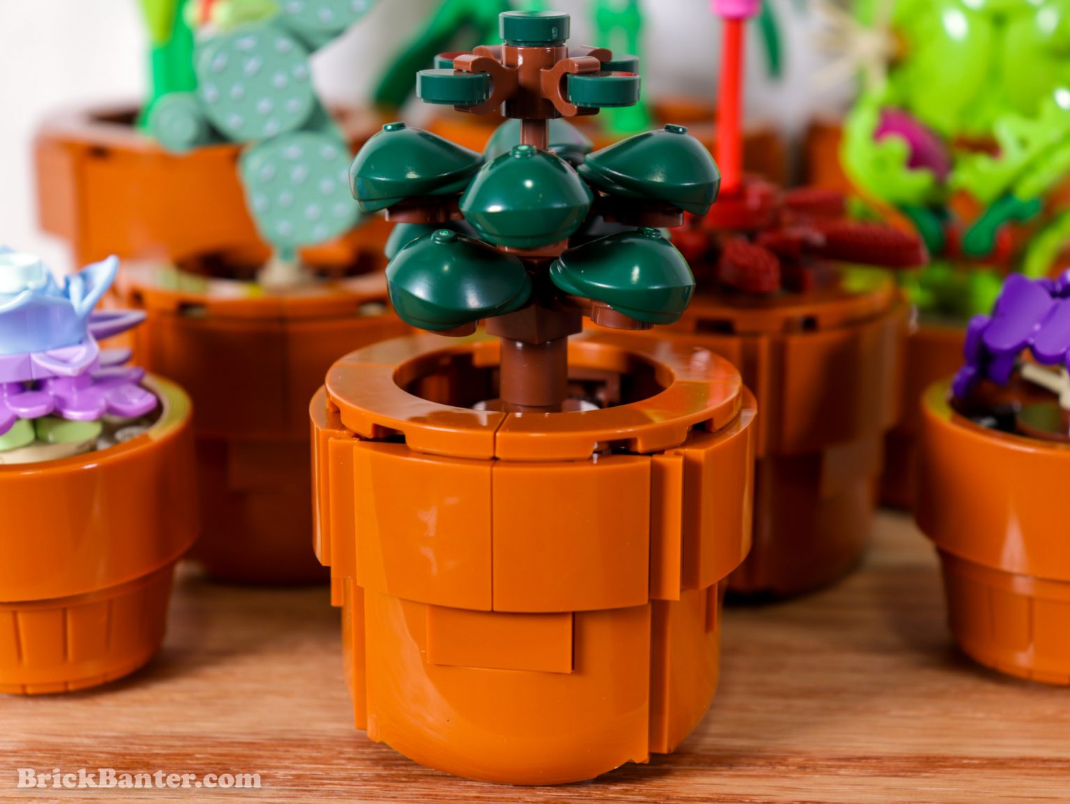 Review: LEGO Botanical Collection Tiny Plants 10329