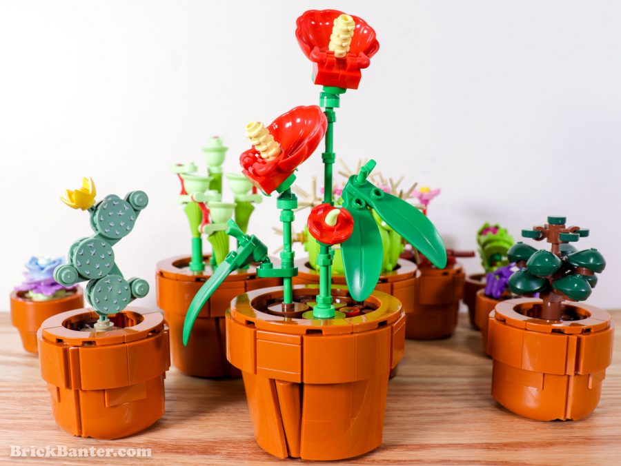 Review: LEGO Botanical Collection Tiny Plants 10329