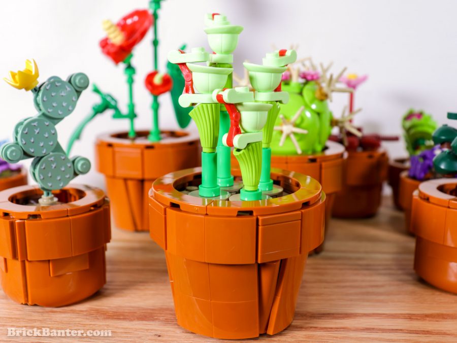 Review: LEGO Botanical Collection Tiny Plants 10329