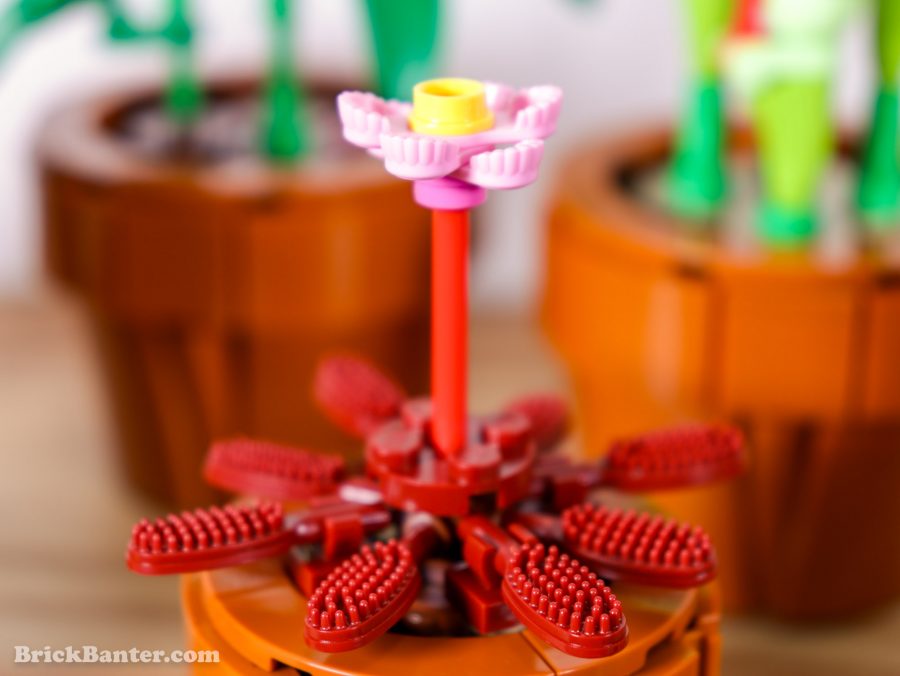 Review: LEGO Botanical Collection Tiny Plants 10329