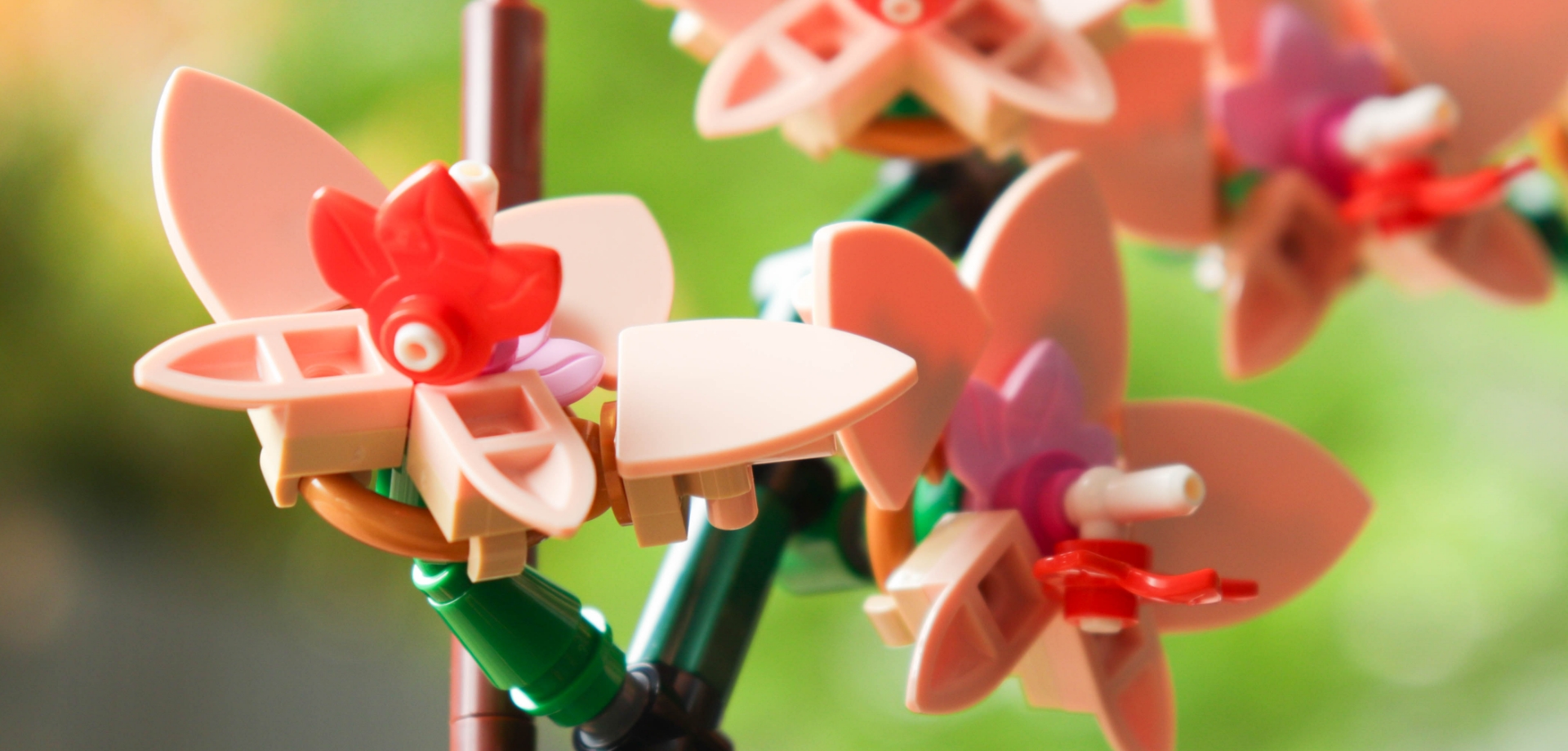 Review: LEGO Botanicals Mini Orchid (10343)